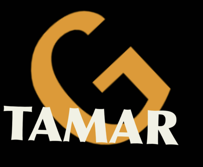 TAMAR GILADI | DEVELOPER