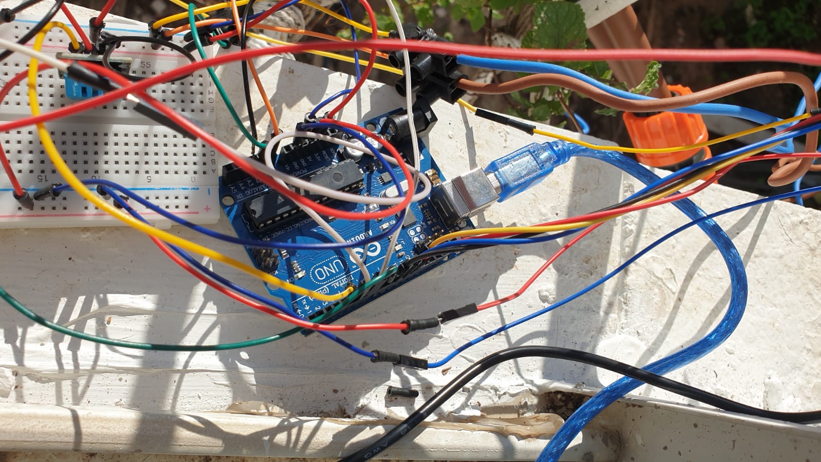 TAMAR GILADI | DEVELOPER